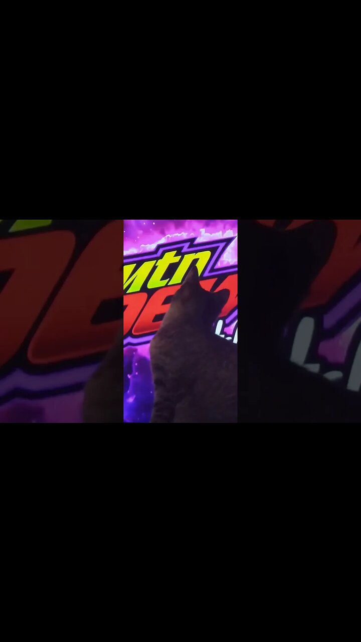 WWE Cat 🐈 loves watching The Fiend Bray Wyatt #royalrumble Mountain Dew ...