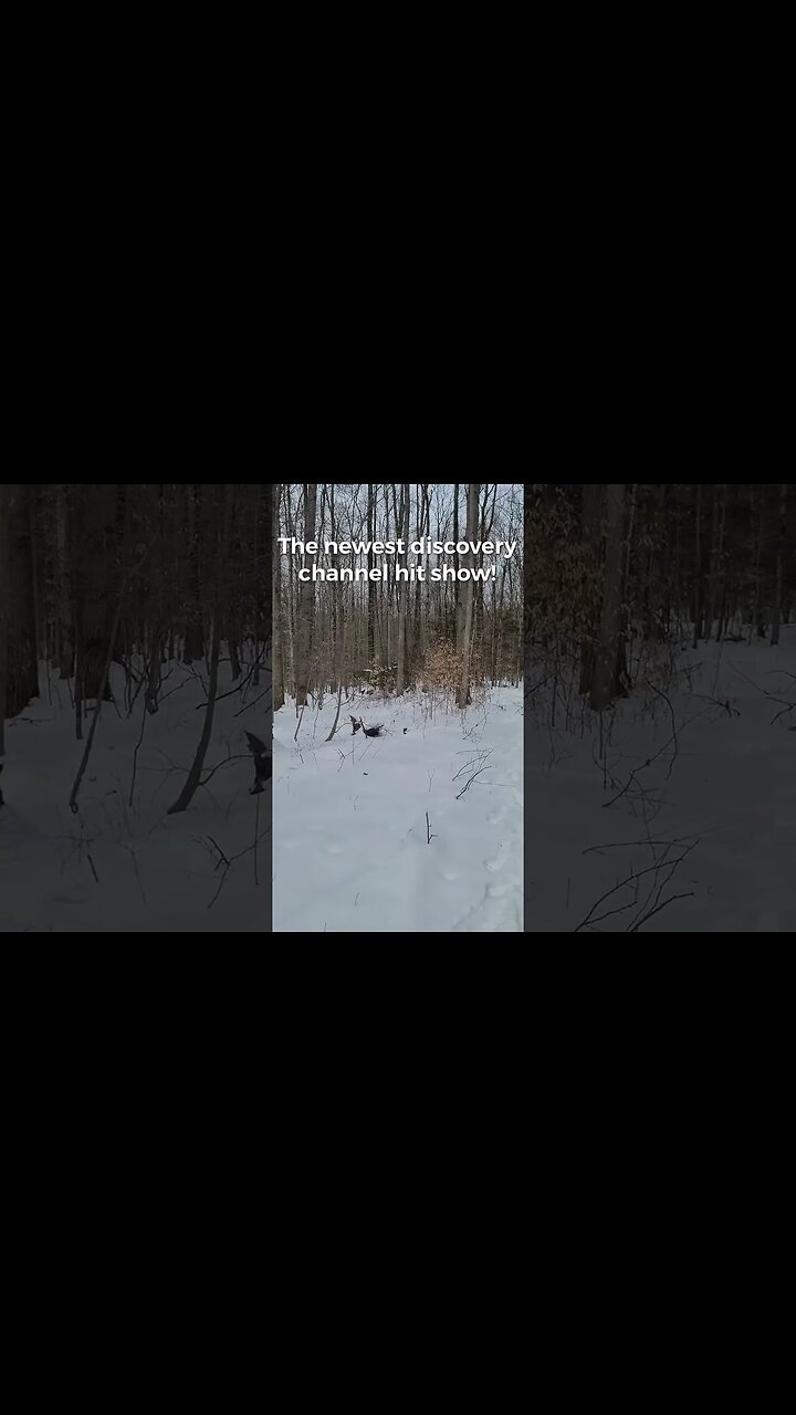 The newest Discovery Channel hit show!