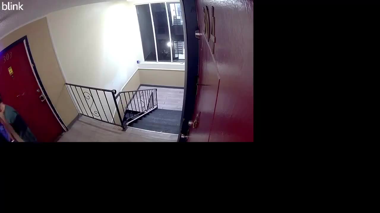 video shows armed gang of Venezuelan illegals take over apartment ...