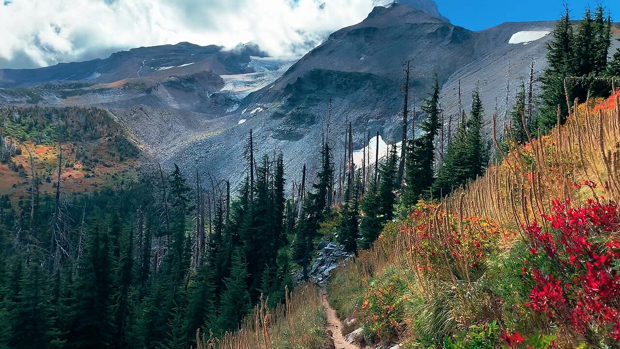 Mount Hood Wilderness Timberline Loop (NW Quadrant Day-Hike) - Arriving ...