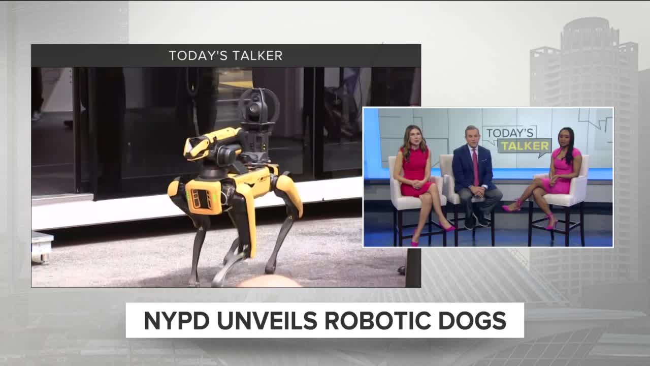 Today's Talker: Robot K9s, Spring things to do in MKE, and a new Hulu ...