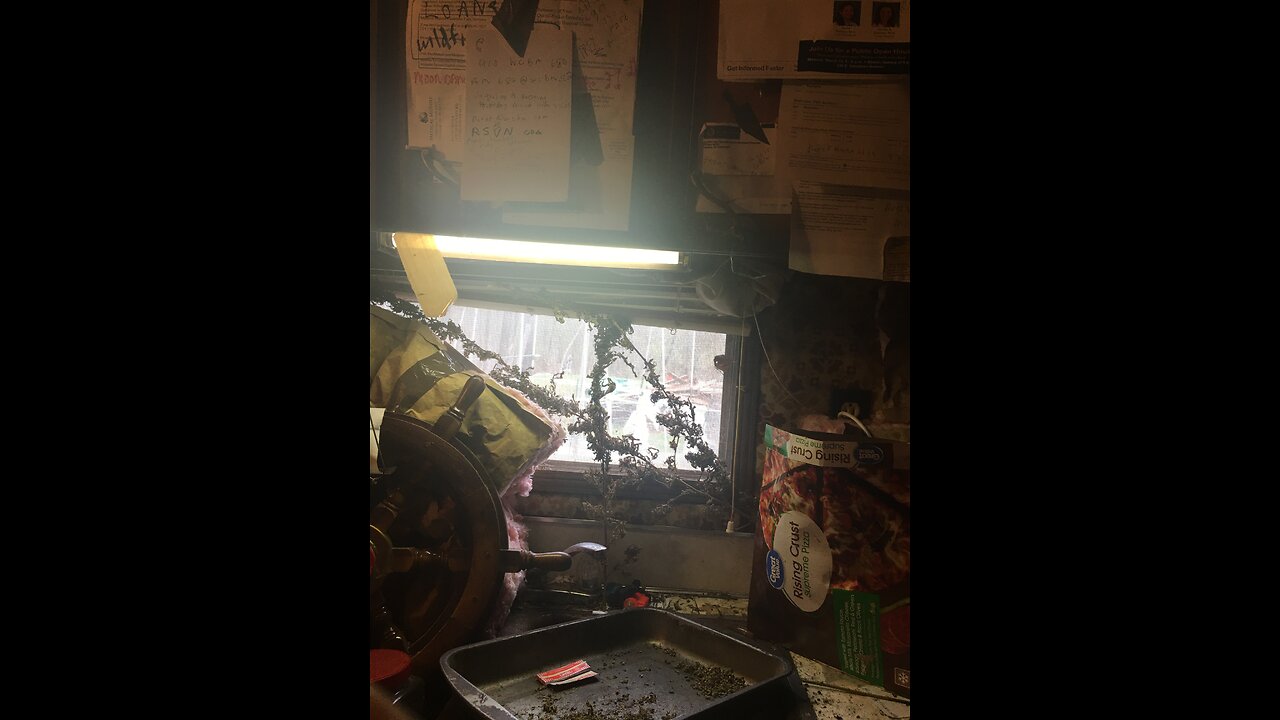 Final Derek Hunter Show part five ringo and varooka 🐈