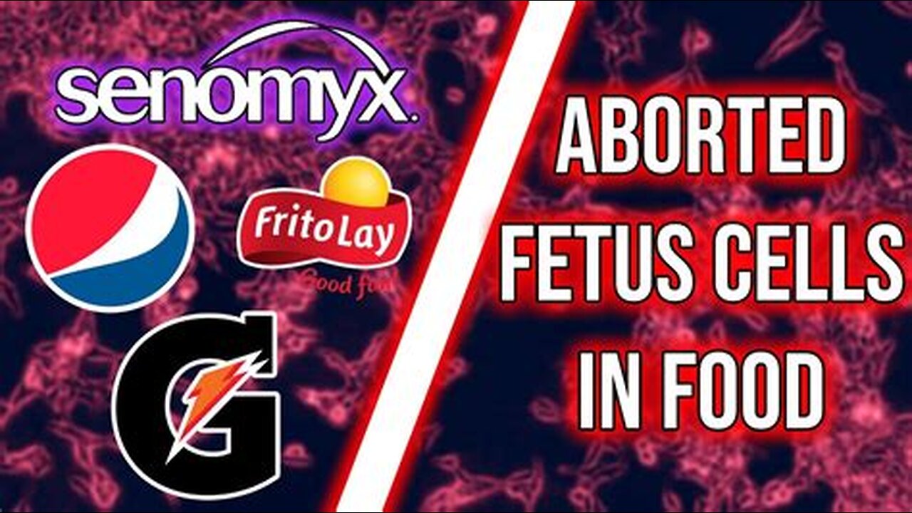 HEK 293 AND SENOMYX ｜ FETAL CELLS IN FOOD