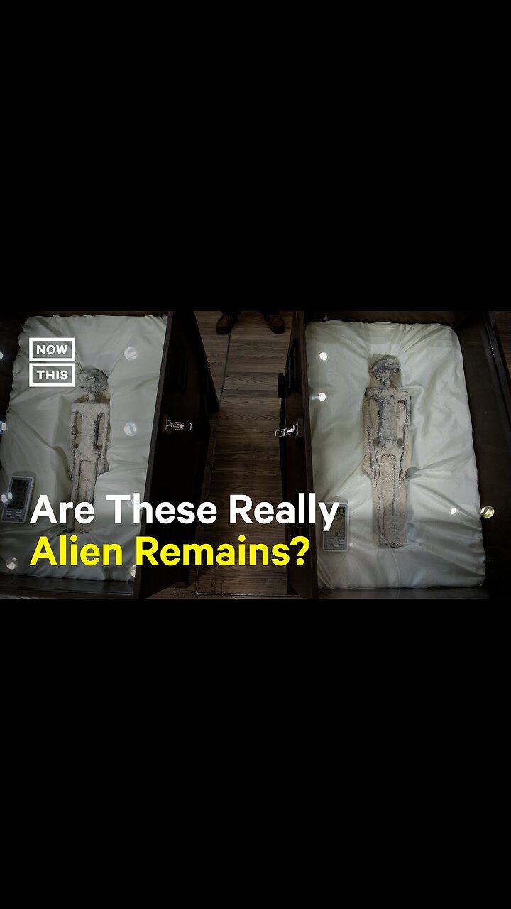 Alien Corpses Presented To The Mexican Congress