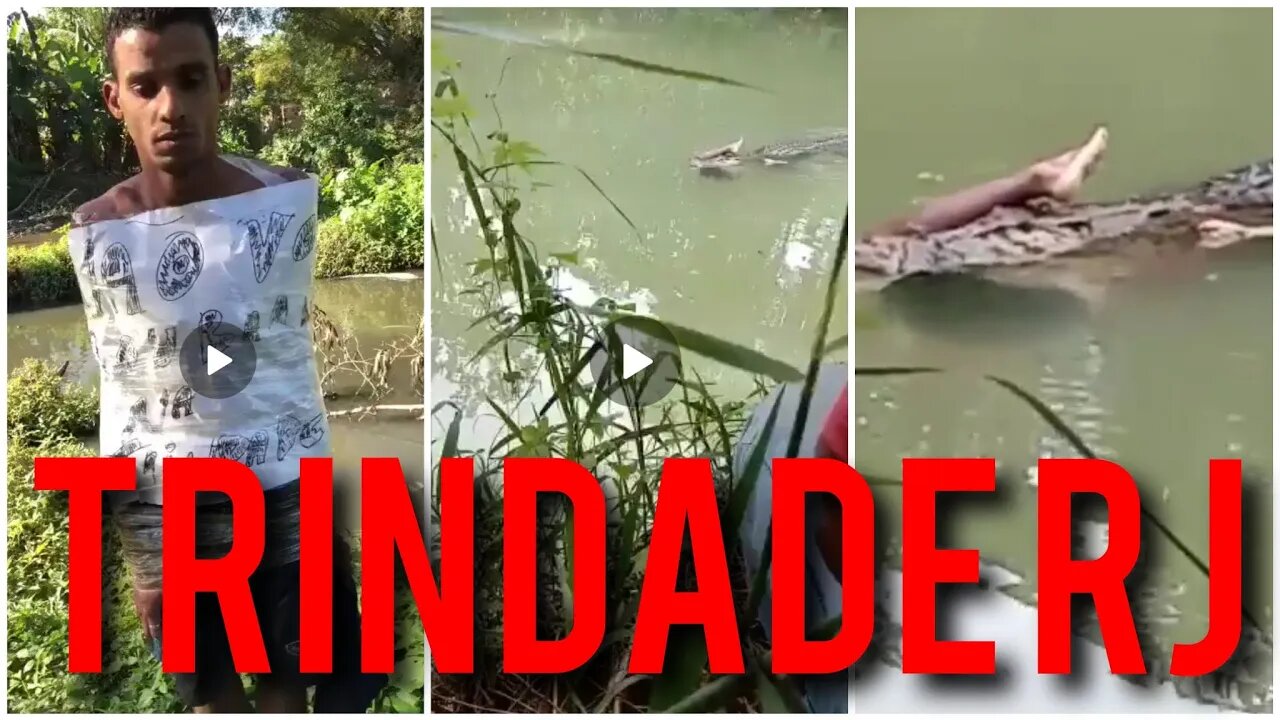 VIROU COMIDA DE JACARÉ KKKKK EU NUNCA MAIS VOU ROUBAR NA TRINDADE RJ ...