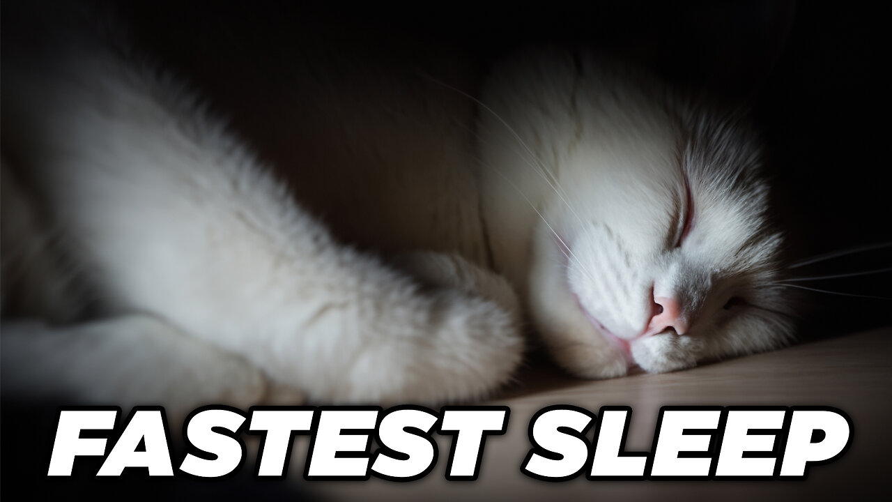 Guaranteed Cat Sleep for 12 Hours | Soothing Sleep Sounds to Have Your ...