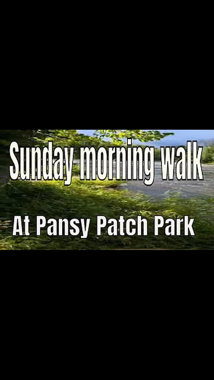 Sunday Morning Walk