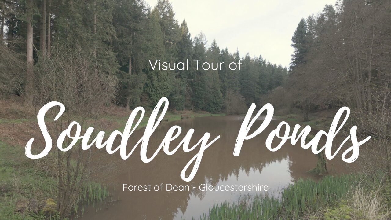 After the Storm: A Silent Walk Around Soudley Ponds | Captivating ...