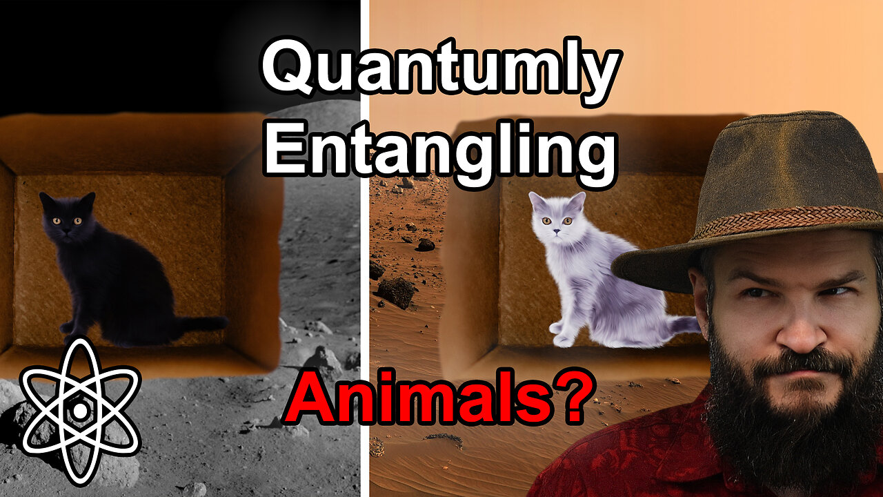 What Would Happen if You Could Entangle Large Objects?|⚛