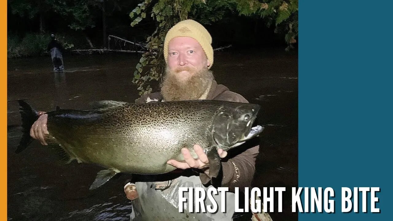 First Light King Bite / Michigan King Salmon Fishing / Fall King Salmon ...