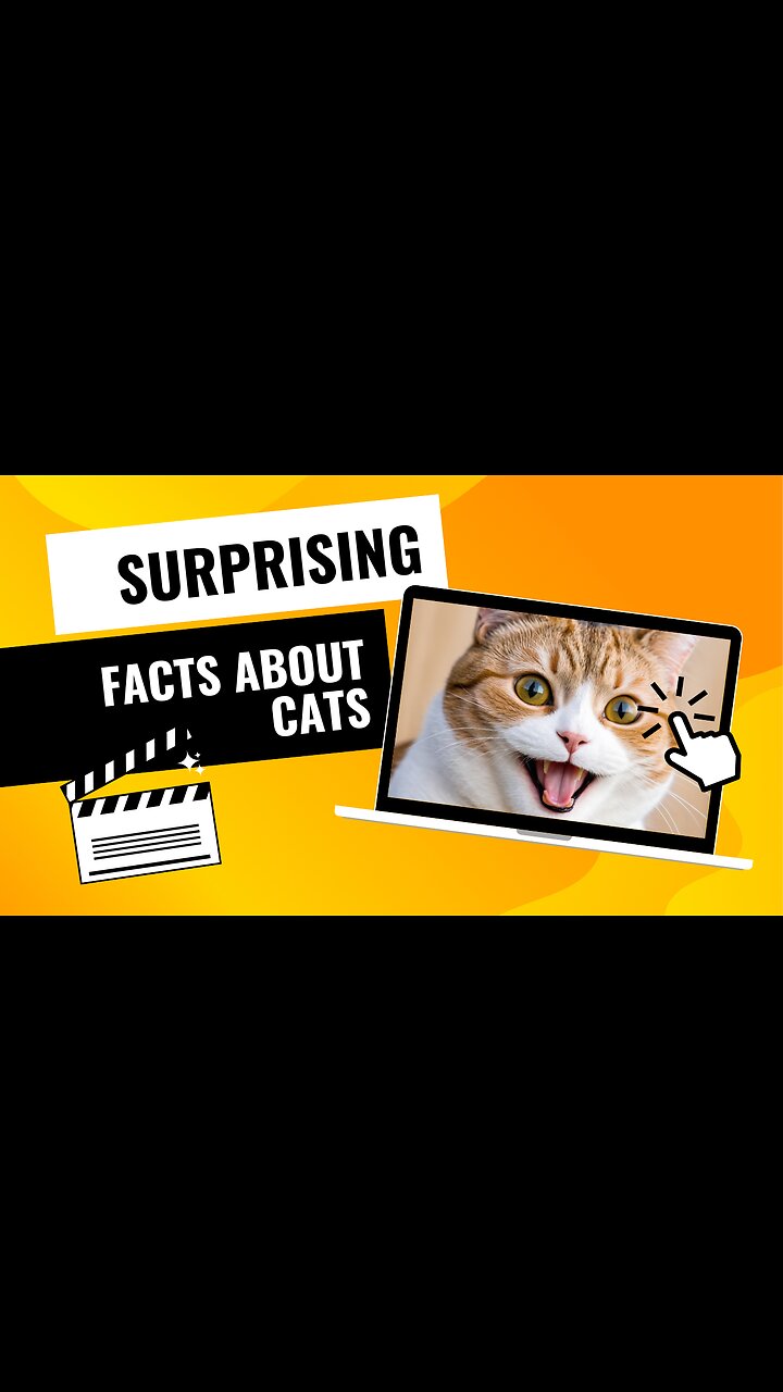Surprising Facts about Cats