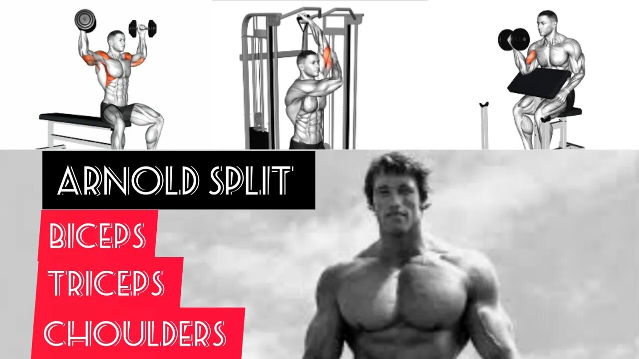 ARNOLD SPLIT: BICEPS/TRICEPS/CHOULDERS(GYM)