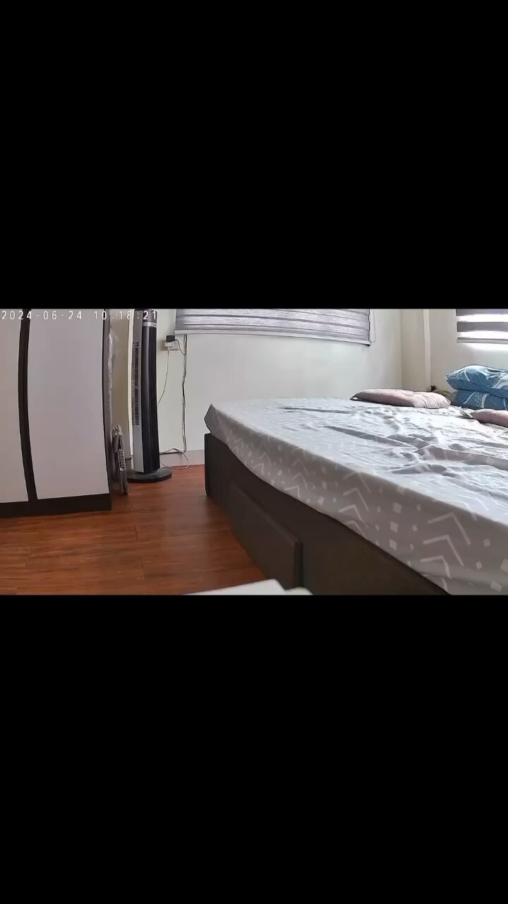 Dogs “alone” time caught on cctv