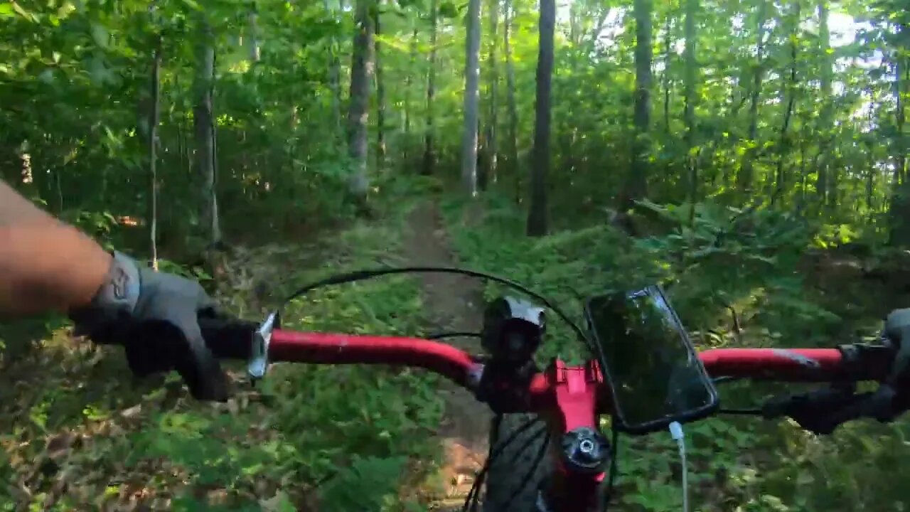 Gassed Out at Valley Spur ( Fatback Rhino )