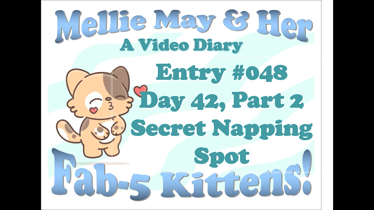 Video Diary Entry 048: Day 42 Part 2 - Secret Napping Site And Blanket ...