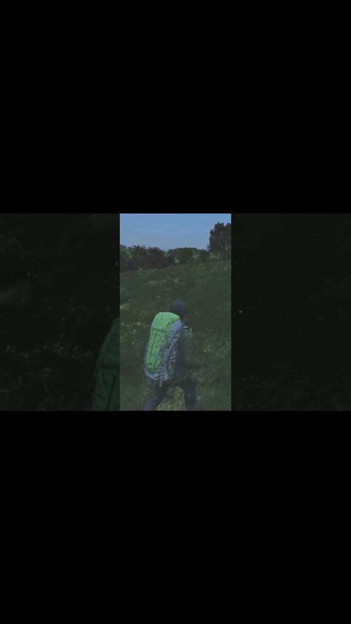 Porco Aranha Dayz #SHORTS