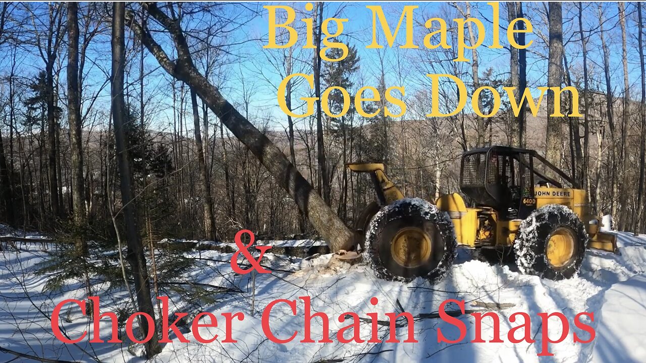 John Deere Skidder VS Giant Maple Tree & Snapped Choker Chain