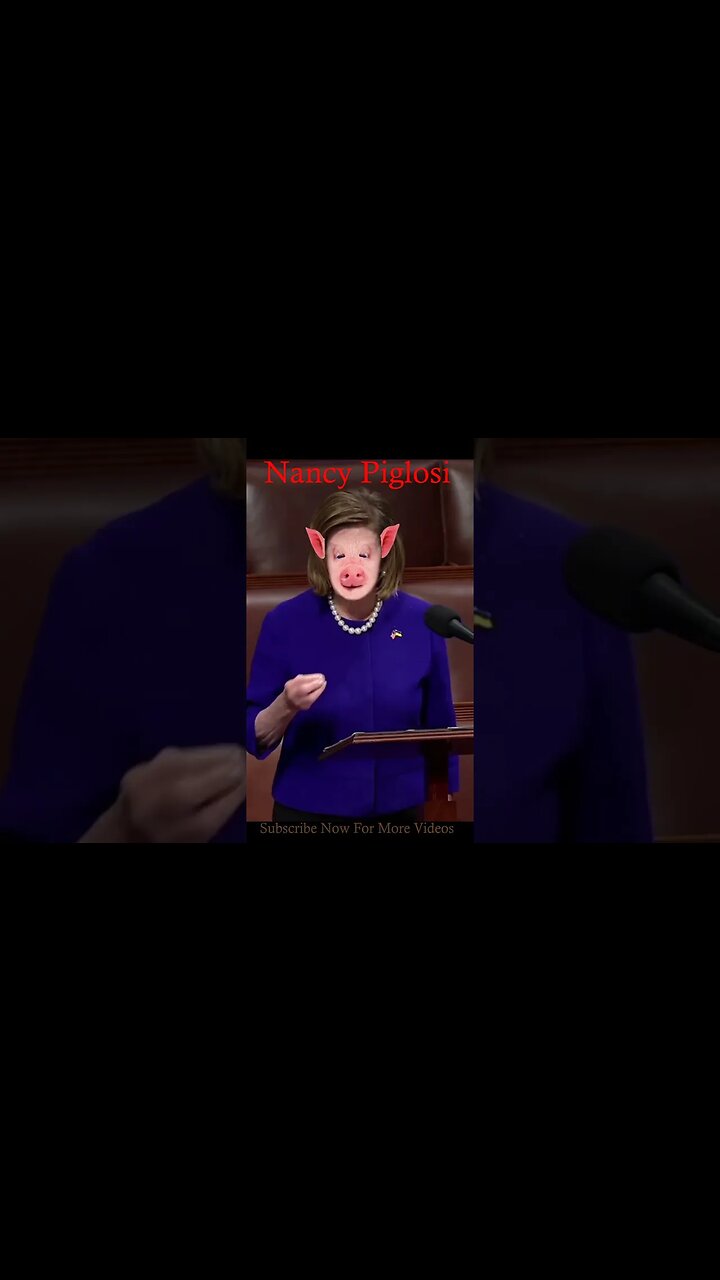 Nancy Piglosi Oink Oink