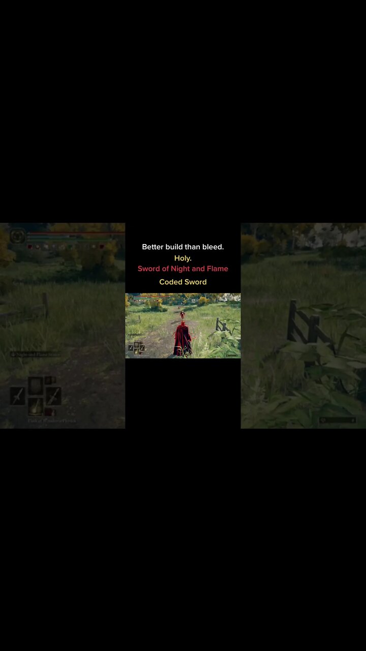 Perfect combo with the CODED SWORDS ⚔️- Elden Ring PVP #shorts #eldenring