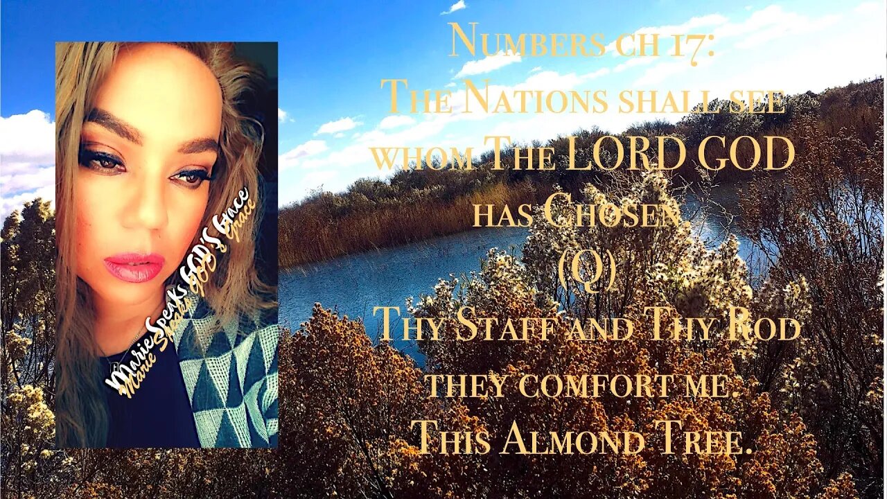 Numbers ch 17: The Nations shall see whom The LORD GOD has Chosen. (Q ...