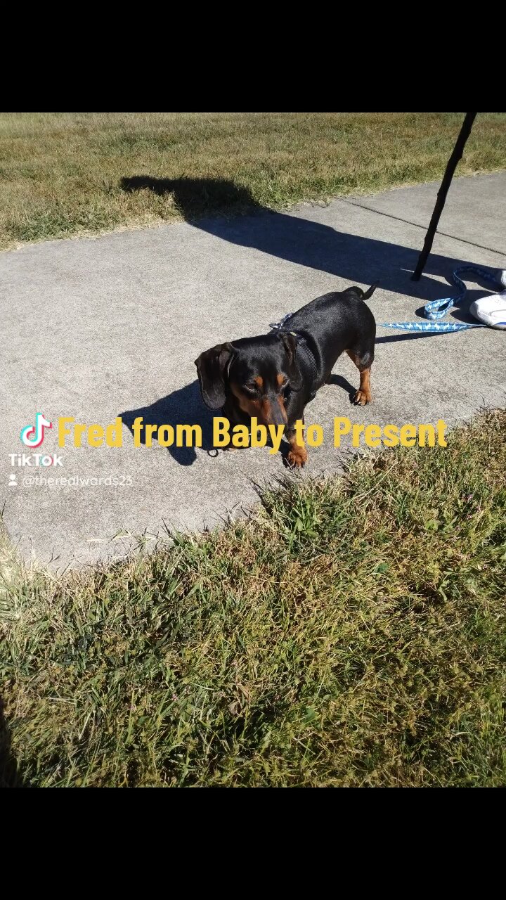 fred from baby til now