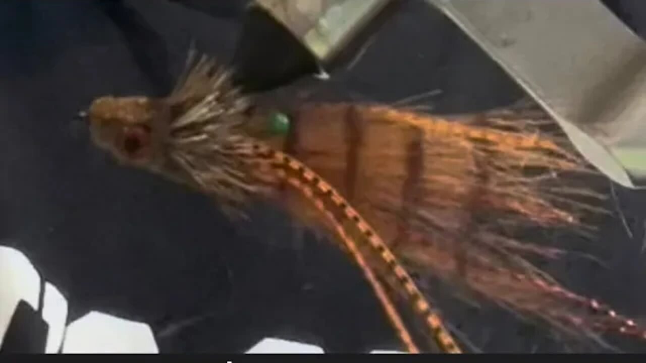 #4 Redfish Slider Fly Tying