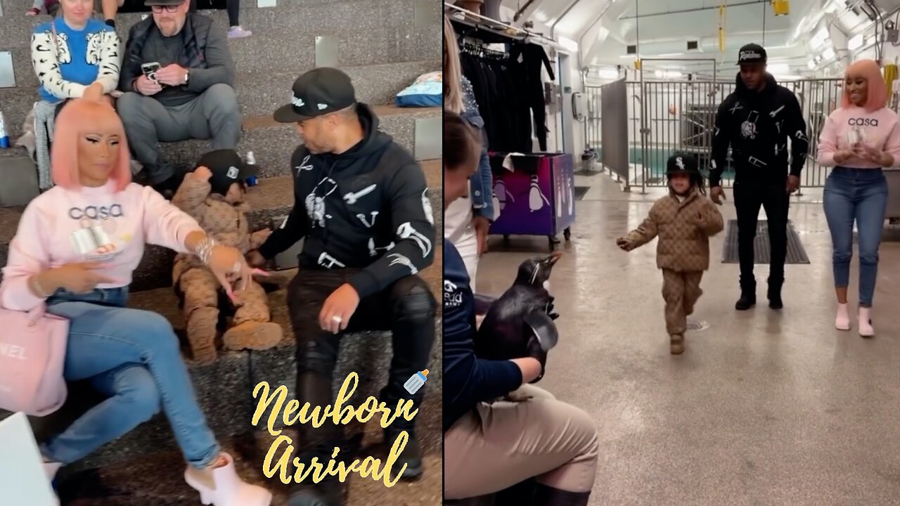 Kenneth Petty & Wife Nicki Minaj Take Papa Bear To The Shedd Aquarium ...