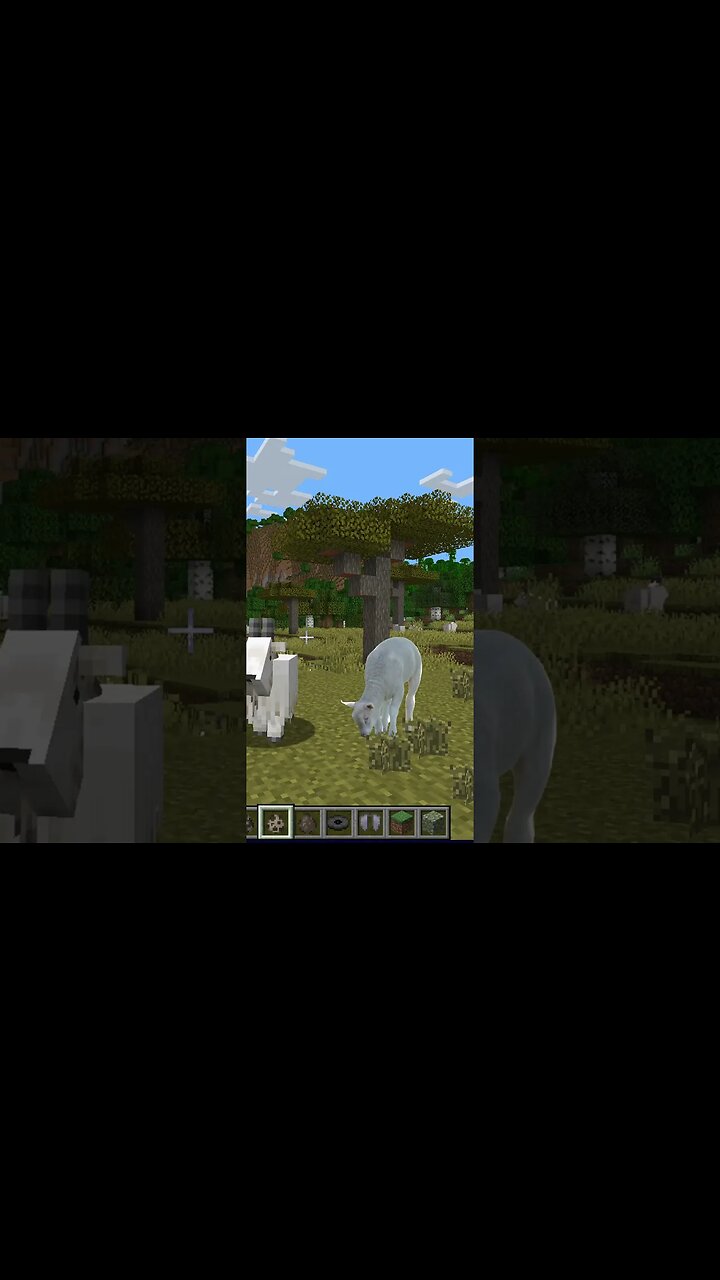 Realistic Sheep in MineCraft 🐐 #YoSquad #minecraft #майнкрафт #shorts