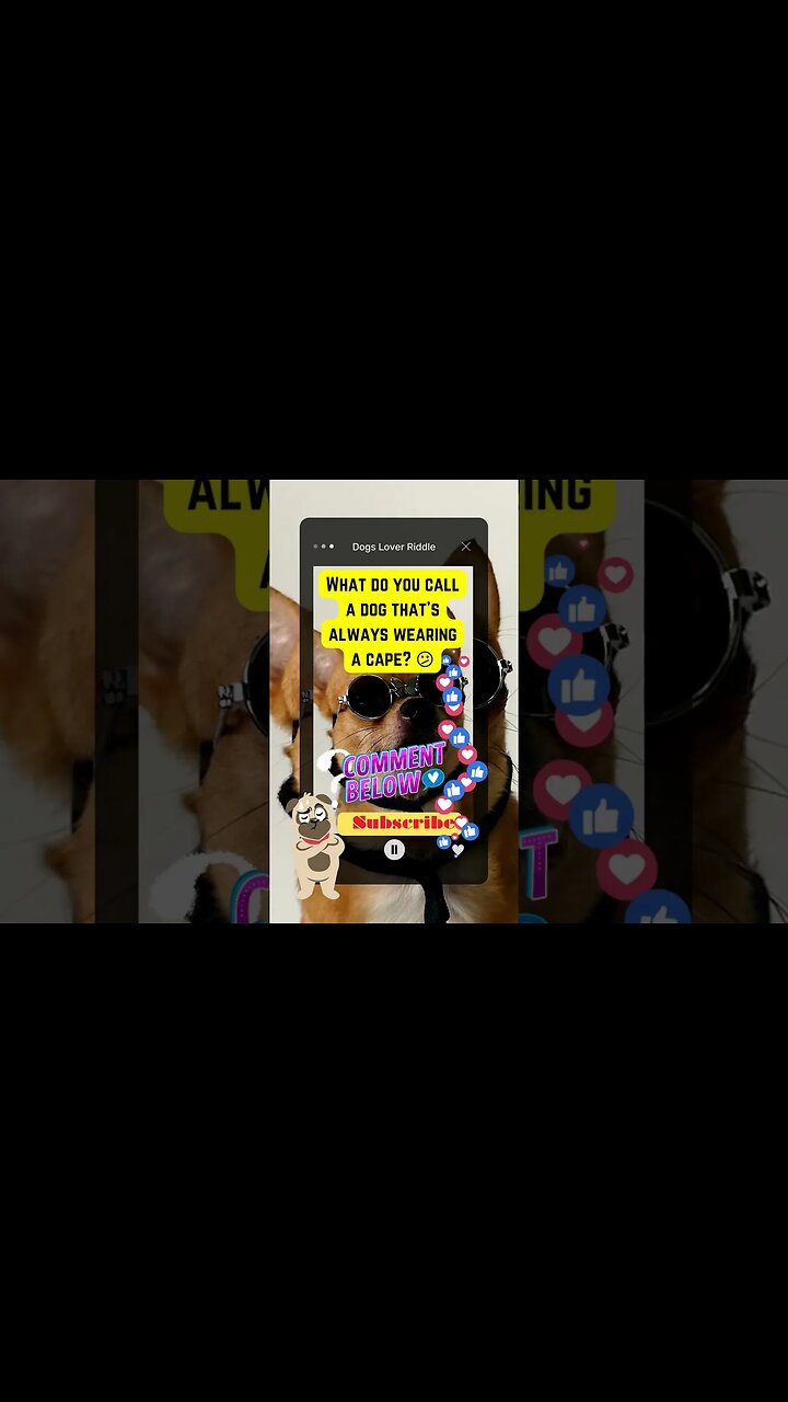 Dogs Riddle | Dogs Riddles in English | Riddles with Answer | Hard ...