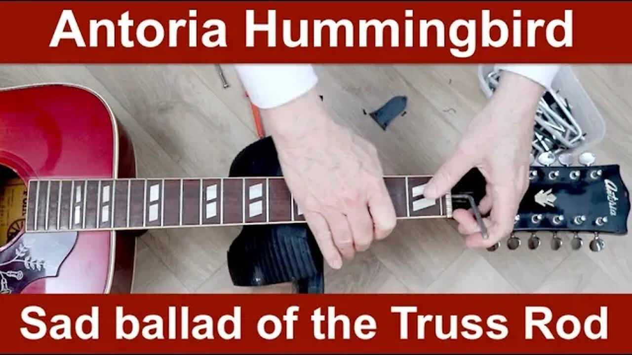 Love/Hate 12 Strings, Early 70's Antoria 684 Hummingbird - rare guitar ...