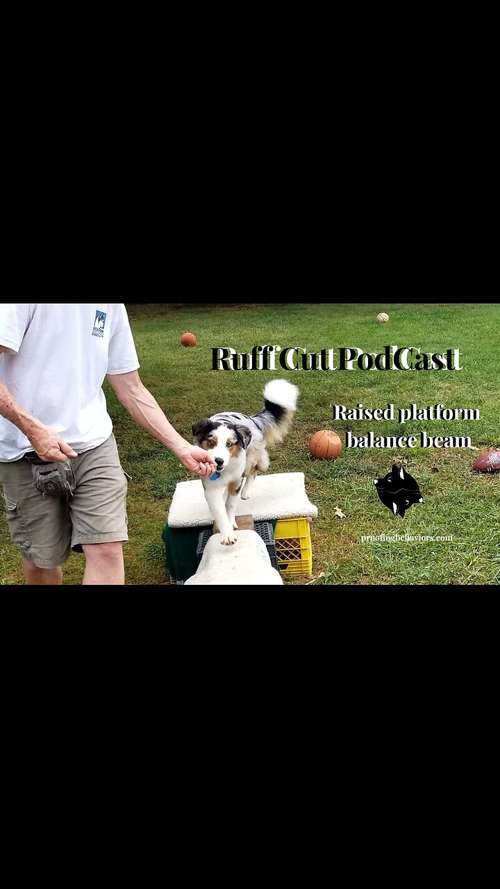 Ruff Cut PodCast: Raised Platform and Balance Beam Part 4 afternoon ...