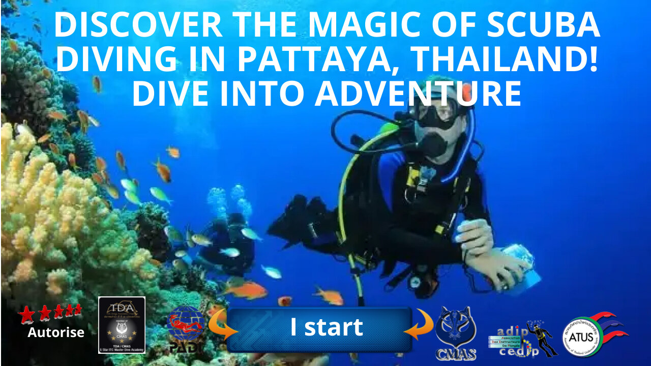 Discover the Magic of Scuba #Diving in Pattaya, Thailand! Dive into ...