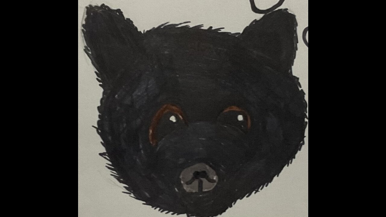 tutorial how to draw a cute simple wolf face