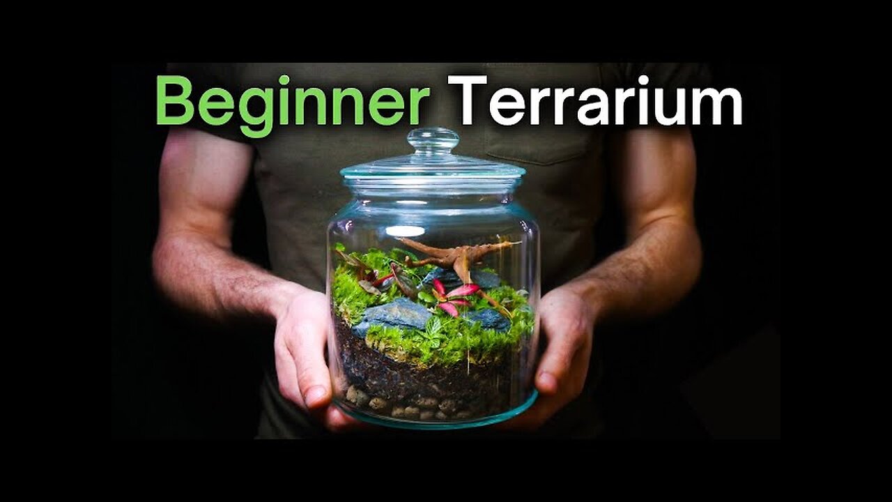 How To Make a Terrarium: An In-Depth Tutorial