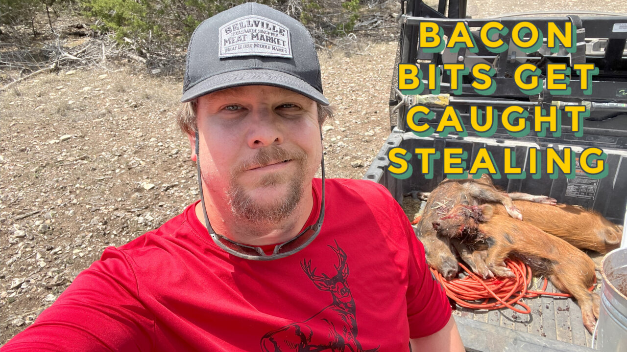 BACON BITS CAUGHT STEALING PROTIEN/Hog Trapping/Pig Hunting/Invasive ...