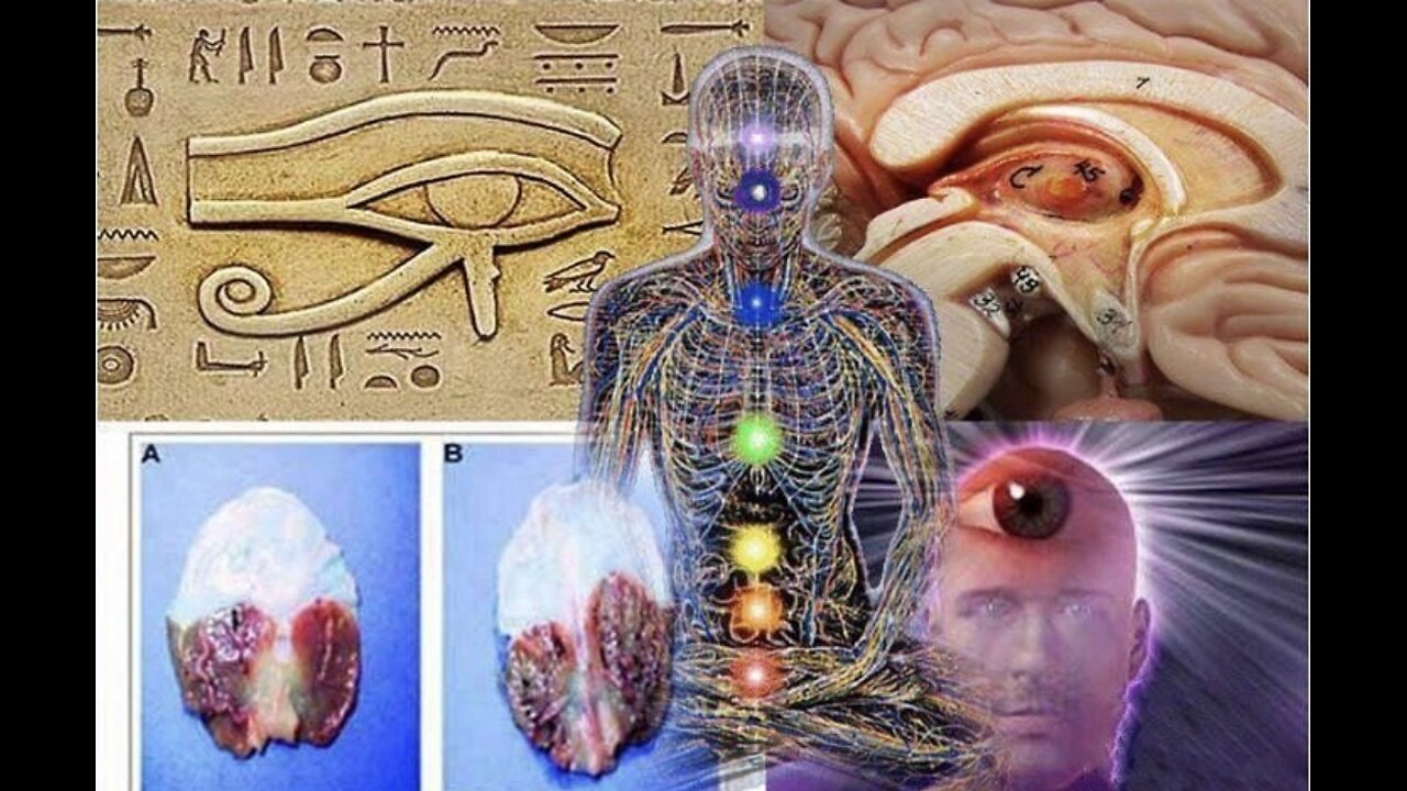 💫 Pineal Gland 💫 21 ways to clear the pineal gland of scaling