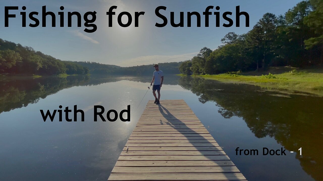 Fishing for Sunfish with Rod from Dock - 1