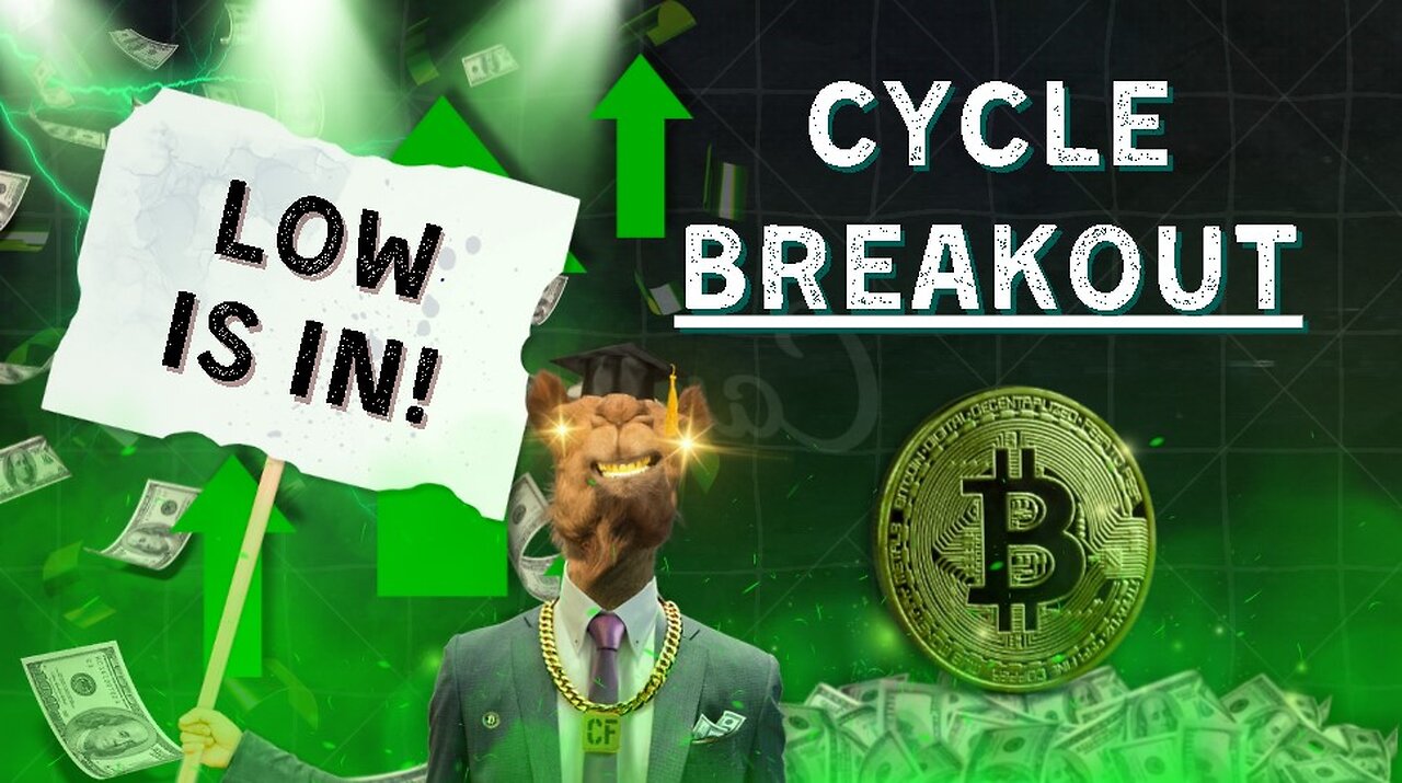 CYCLE LOW IS IN - HERE'S WHAT'S NEXT
