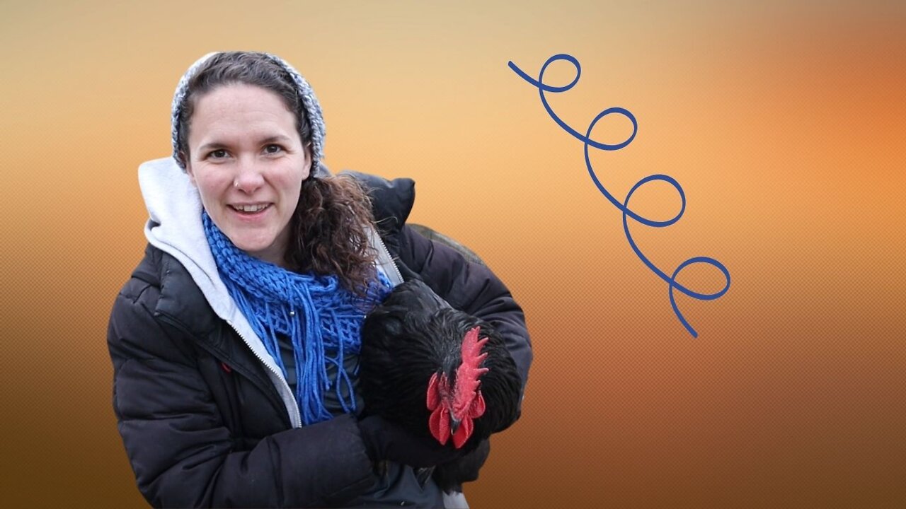 Use The Spiral Breeding Method For A Sustainable Flock