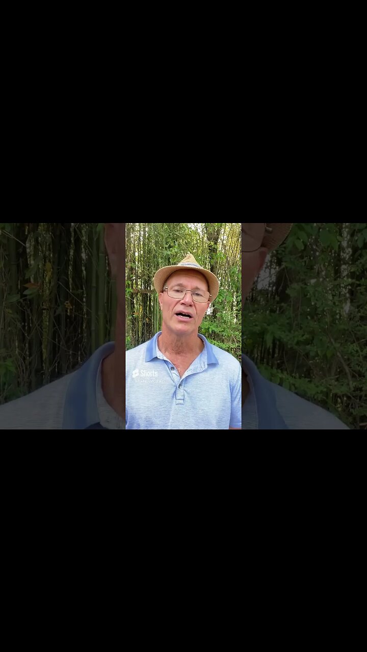 A winning faith in Jesus Christ #shorts #jesus #god #bible #gospel # ...