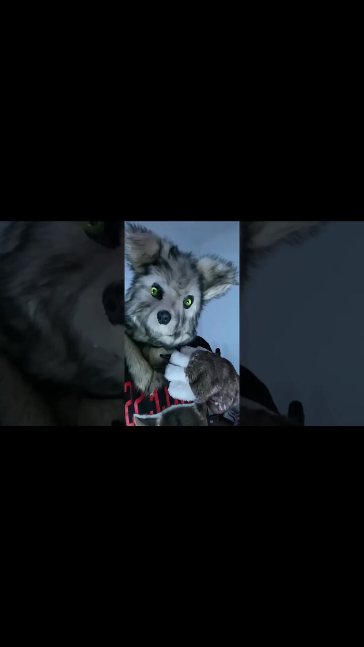 You Won’t Shut Your Mouth Then I’ll Shut It For You! #shorts #furry # ...