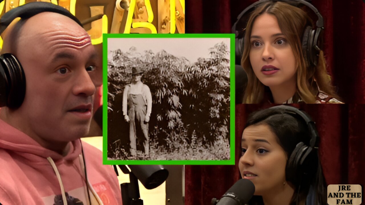 Joe Rogan The History of Marijuana and Hemp: Billion Dollar Crop – Kim ...