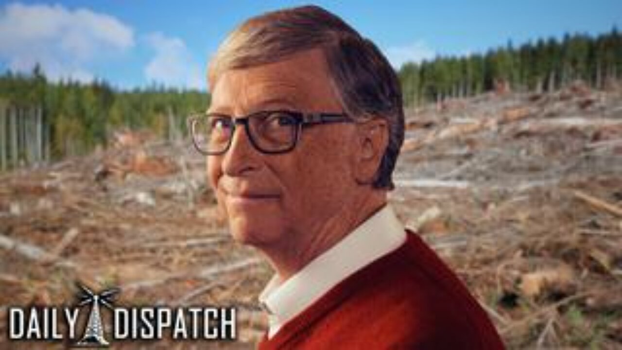 Bill Gates Spearheads Effort To Chop Down, Bury Trees To Fight Climate ...