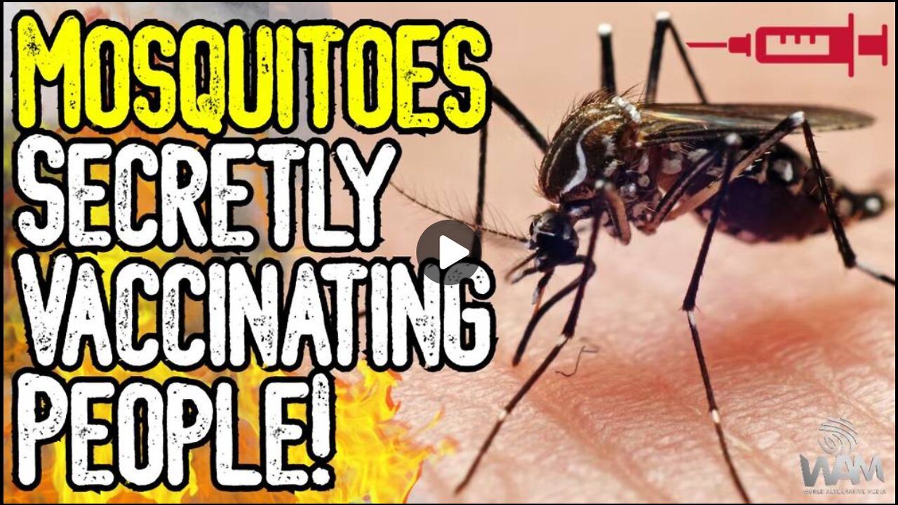 GMO MOSQUITOES SECRETLY VACCINATING PEOPLE? Shocking Report Exposes ...