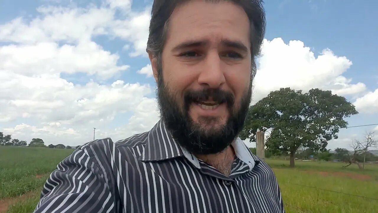 Perícia judicial: Como o Perito deve se comportar se uma das partes ...