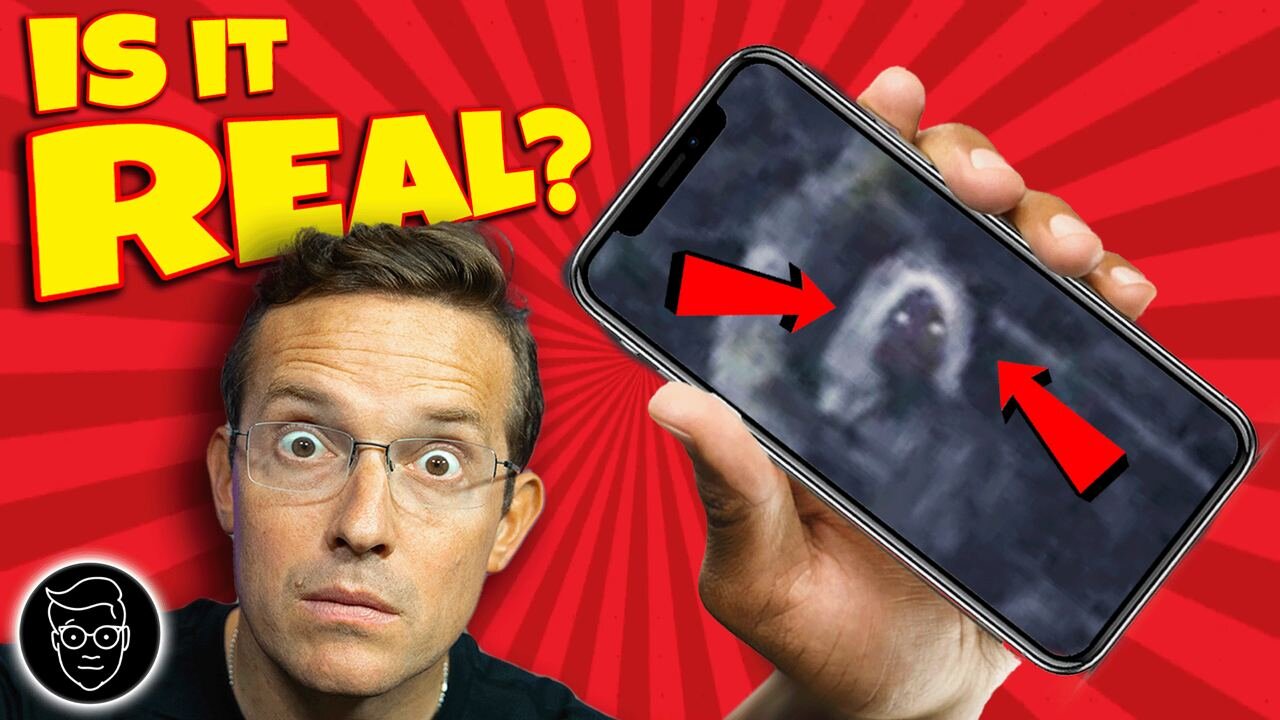 Are Elves REAL!? Mexican President Sends Internet Into CHAOS By ...