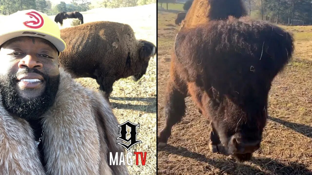 "Go See The Other Side" Rick Ross Explains Why His Buffalo Ran Into The ...
