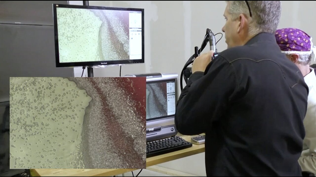 Dr. Richard Fleming - What Happens When The Genetic Vaccines Come Into ...