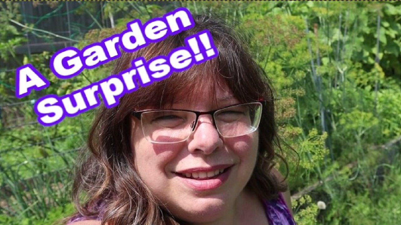 Garden Surprise Garlic progress July 2024