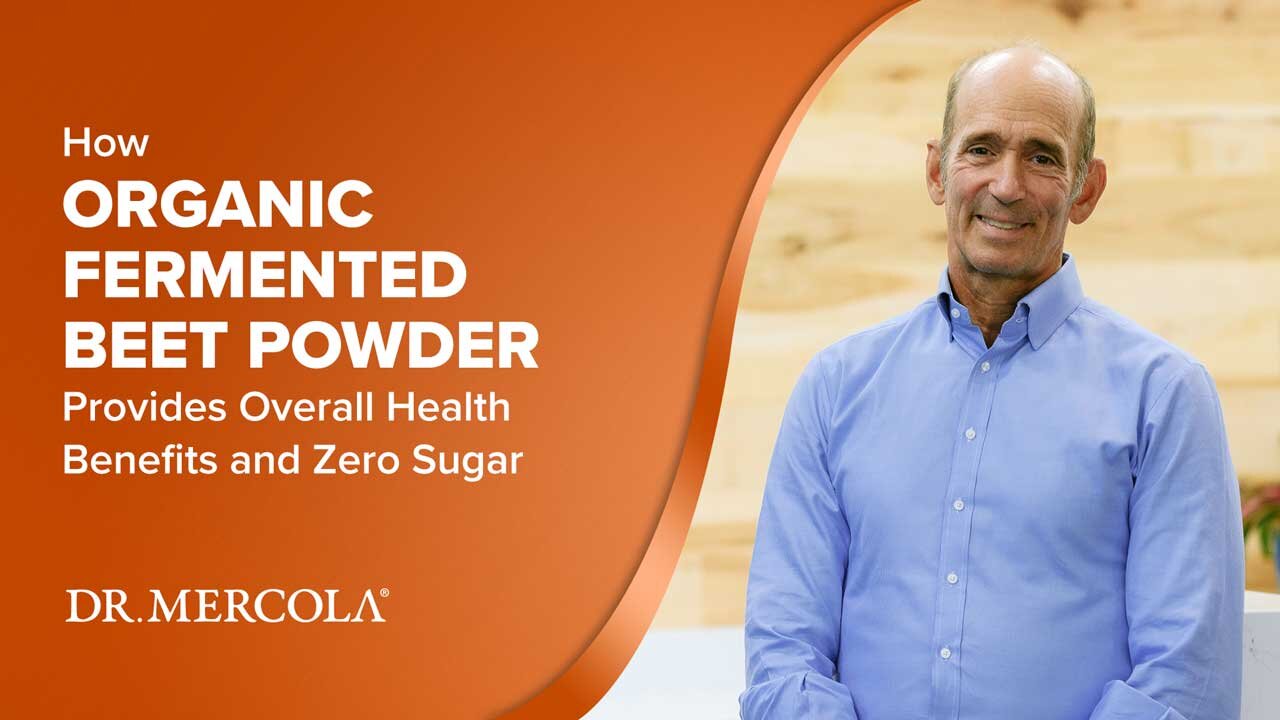 How ORGANIC FERMENTED BEET POWDER Provides Overall Health Benefits and ...